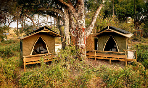 Oddballs' Camp, camp simple au coeur du delta de l'Okavango