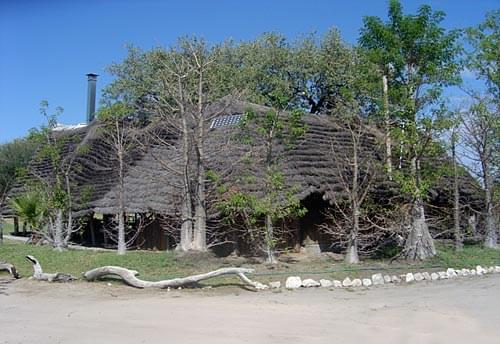 TSUMKWE COUNTRY LODGE - Tourmaline Safaris
