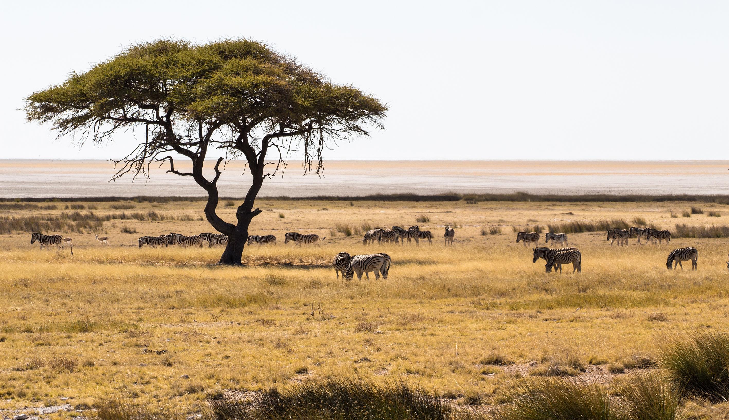 Travel to Namibia, Botswana - Tourmaline Safaris